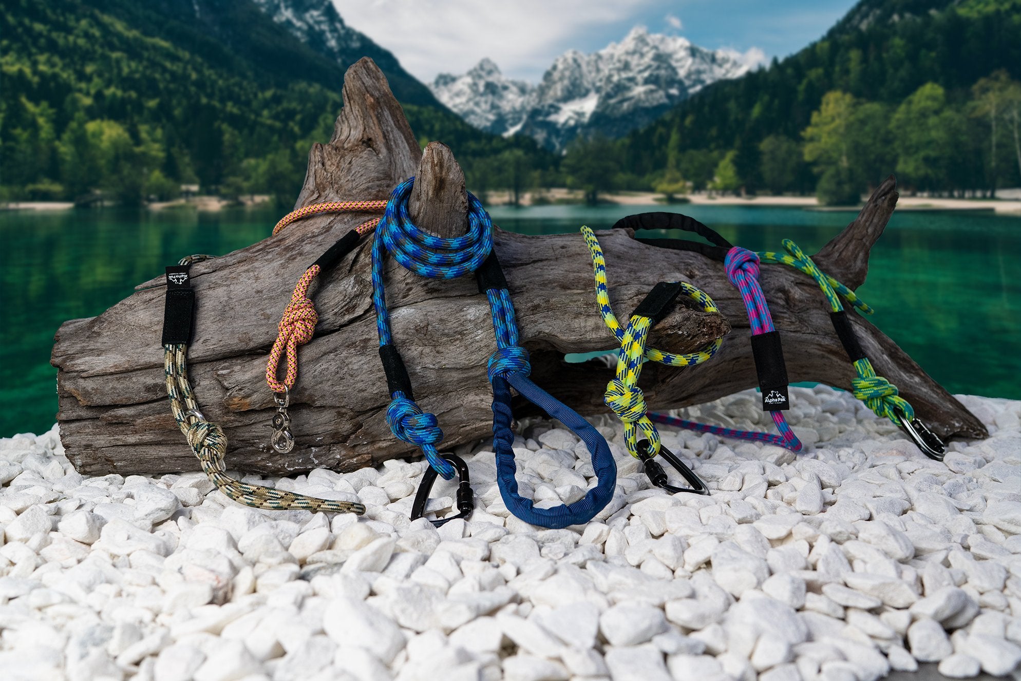 Dog Leashes | Strong, Reflective, & Affordable | Alpha Pak