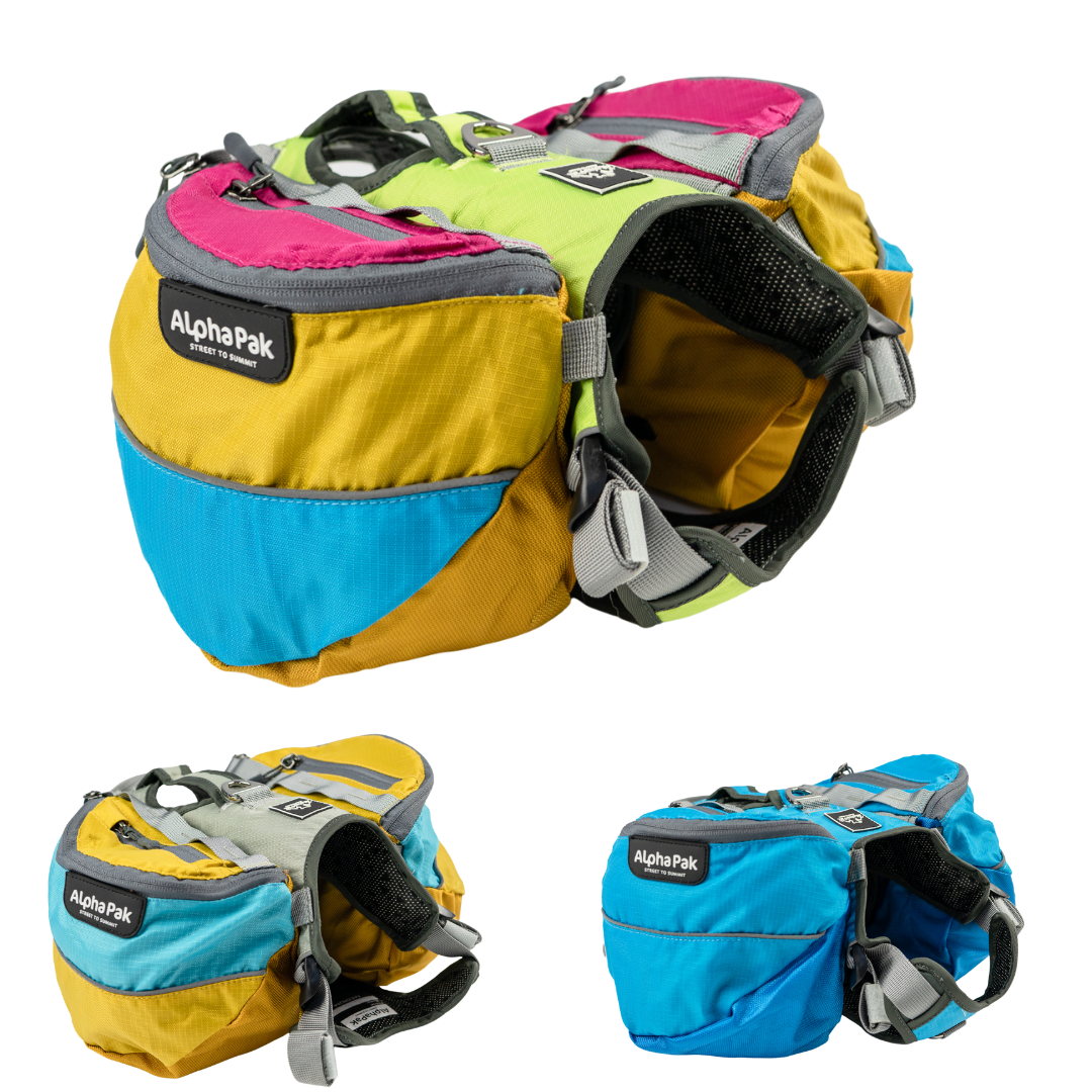 Adventure 1-piece Dog Pack & Harness | High Quality & Water Resistant ...