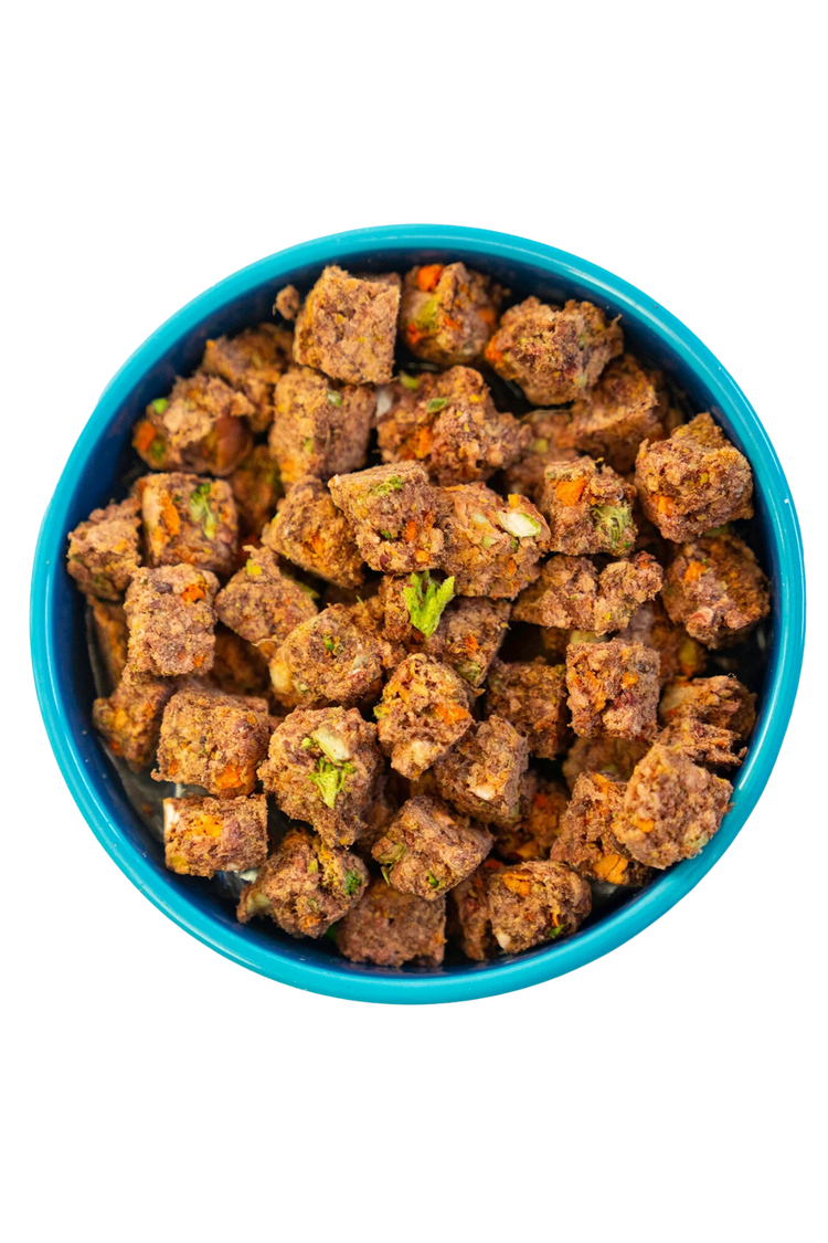 Alpha Pak | Top Quality Dog Gear | Outdoor Adventures