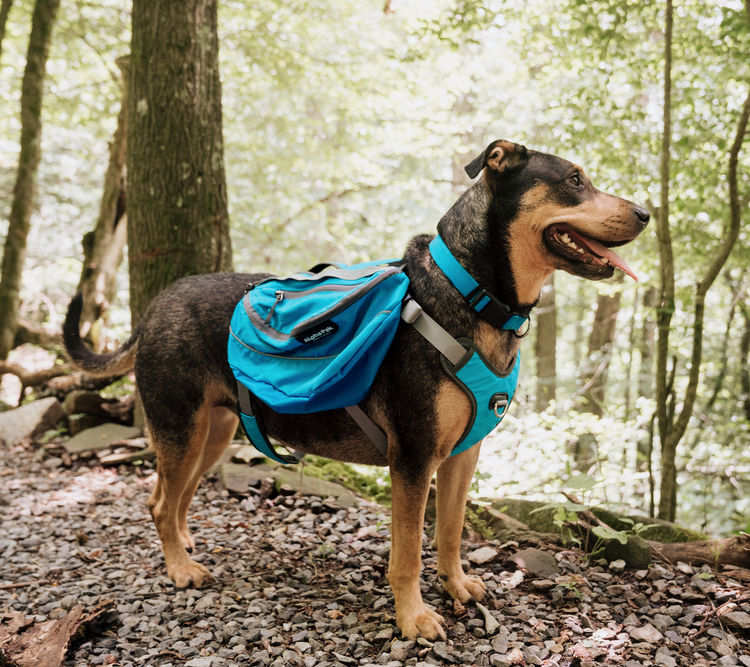 Adventurer 2-piece Dog Pack With EZ Latch™ Harness & Saddlebags – Alpha Pak