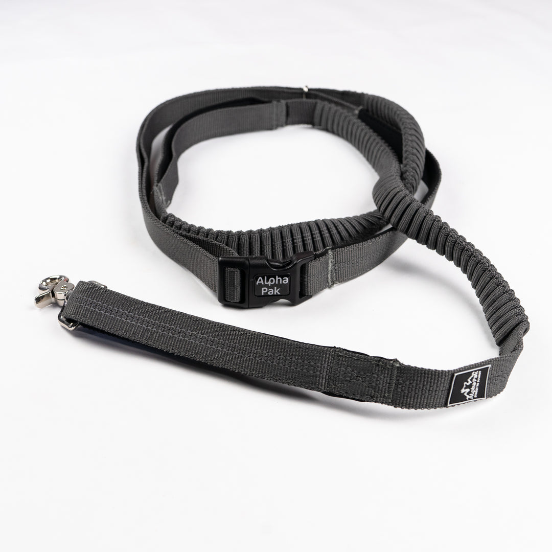Dog Leashes | Strong, Reflective, & Affordable | Alpha Pak